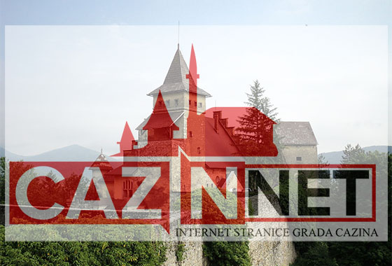 Cazin.net – krajiški mali div bh. interneta | MC_ONLINE